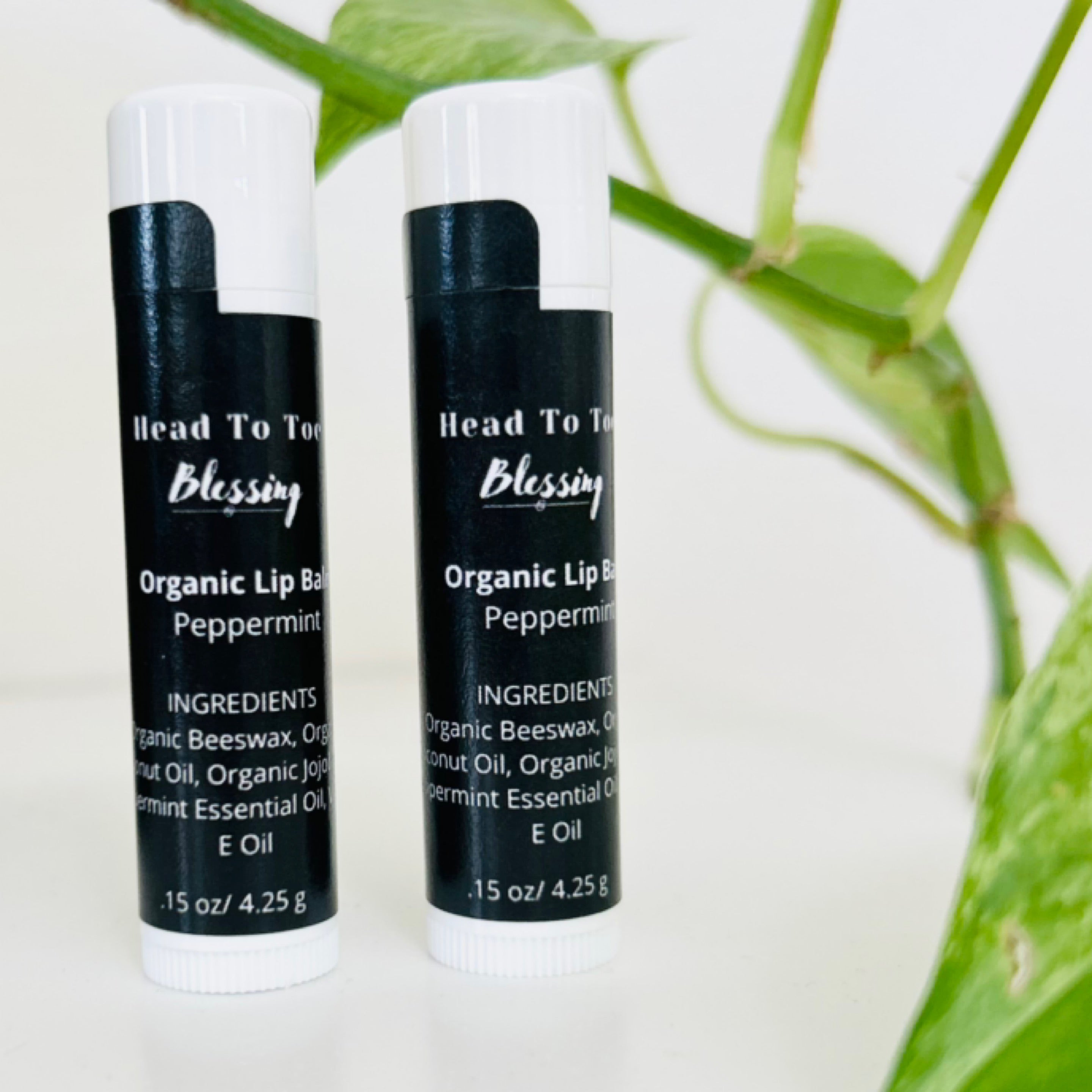 Organic Moisturizing Lip Balm | Head To Toe Blessing